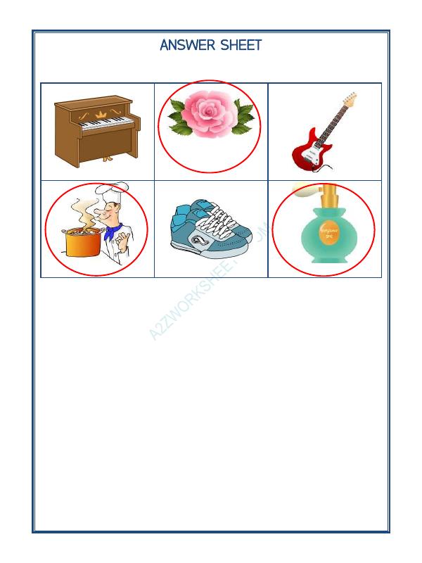 A2Zworksheets:Worksheet of Our Sense Organs-03-Humans-Science