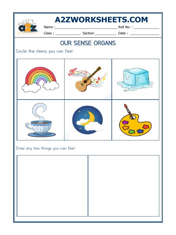 A2Zworksheets:Worksheet of Our Sense Organs-05-Humans-Science