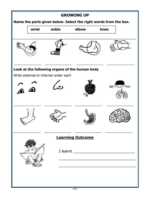 A2Zworksheets:Worksheet of Growing Up-Growing Up-General Awareness