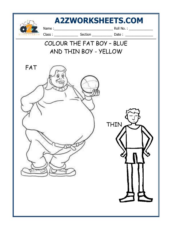 A2Zworksheets:Worksheet of Perception - Fat And Thin-Recognition-English
