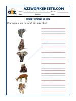 A2Zworksheets:Worksheet of hindi-practice-sheet